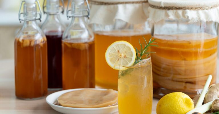 Como Fazer um SCOBY em casa: Cultura de bactérias e leveduras