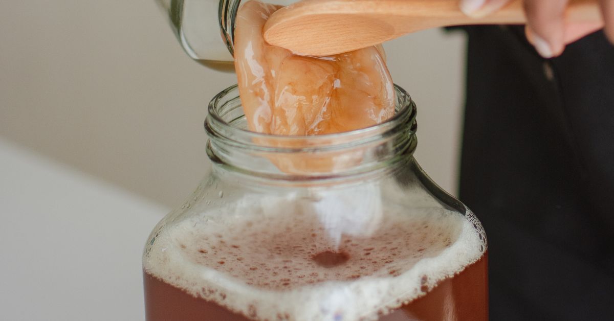 Como fazer Kombucha em casa